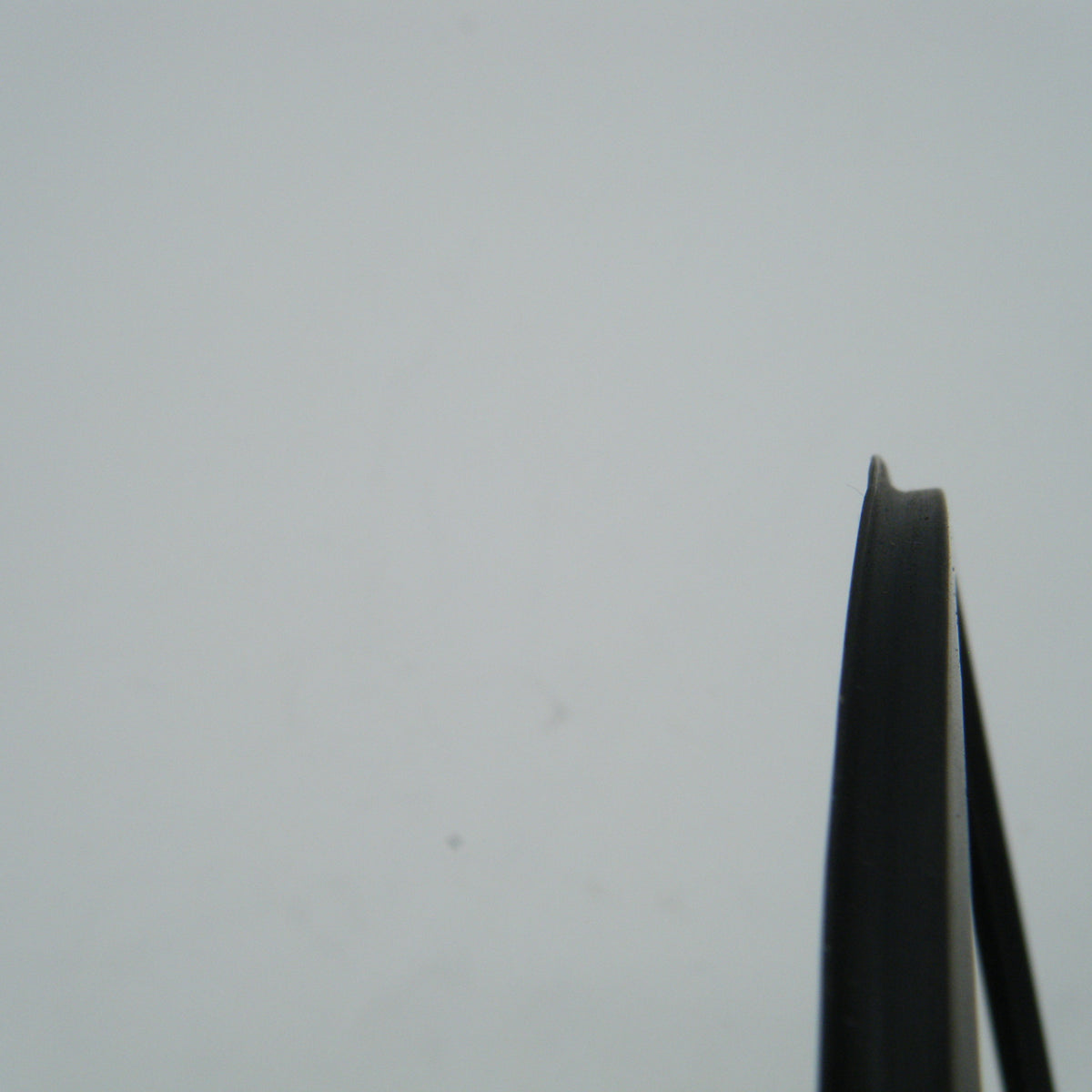 Fuel tank fuel cap rubber gasket – Ducatispares.co.nz